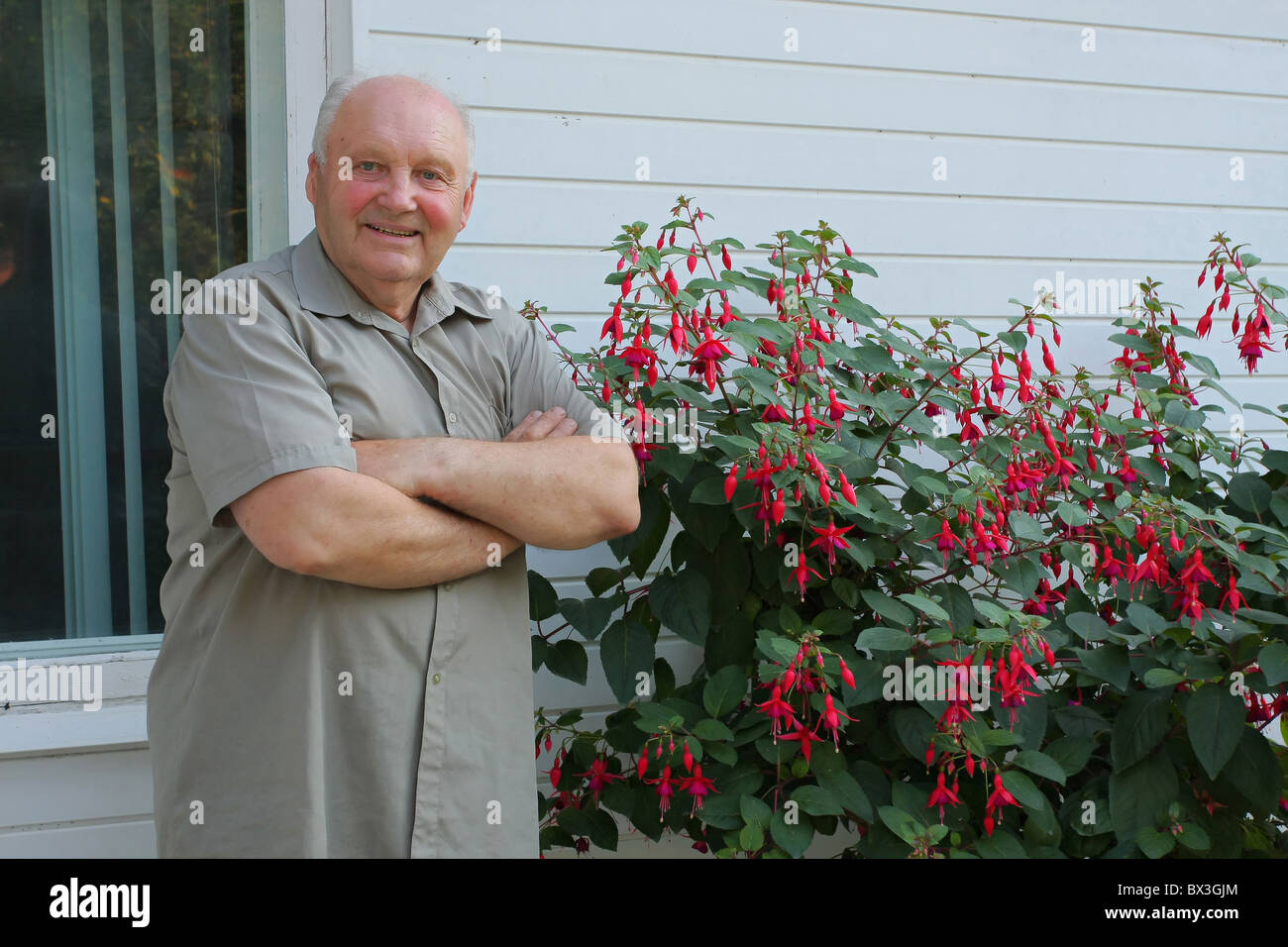 Old man - grower of flowers next to flower bush in summer day Stock ...