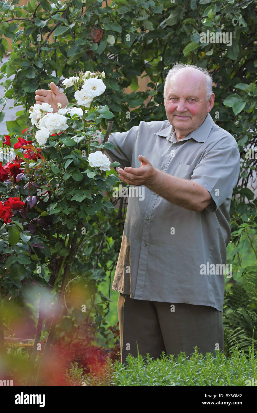 Rose grower hi-res stock photography and images - Alamy