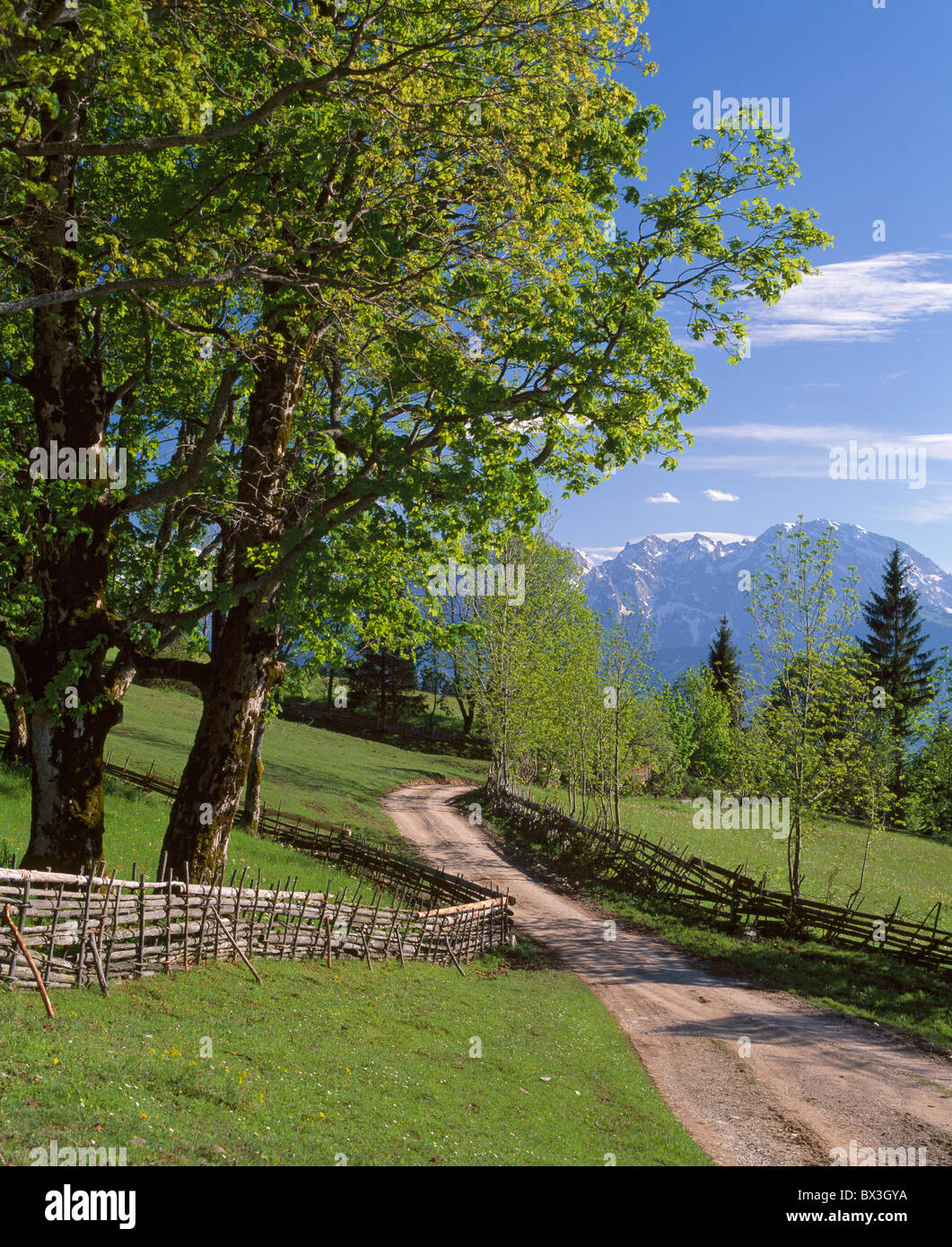 Salzburg region hi-res stock photography and images - Alamy
