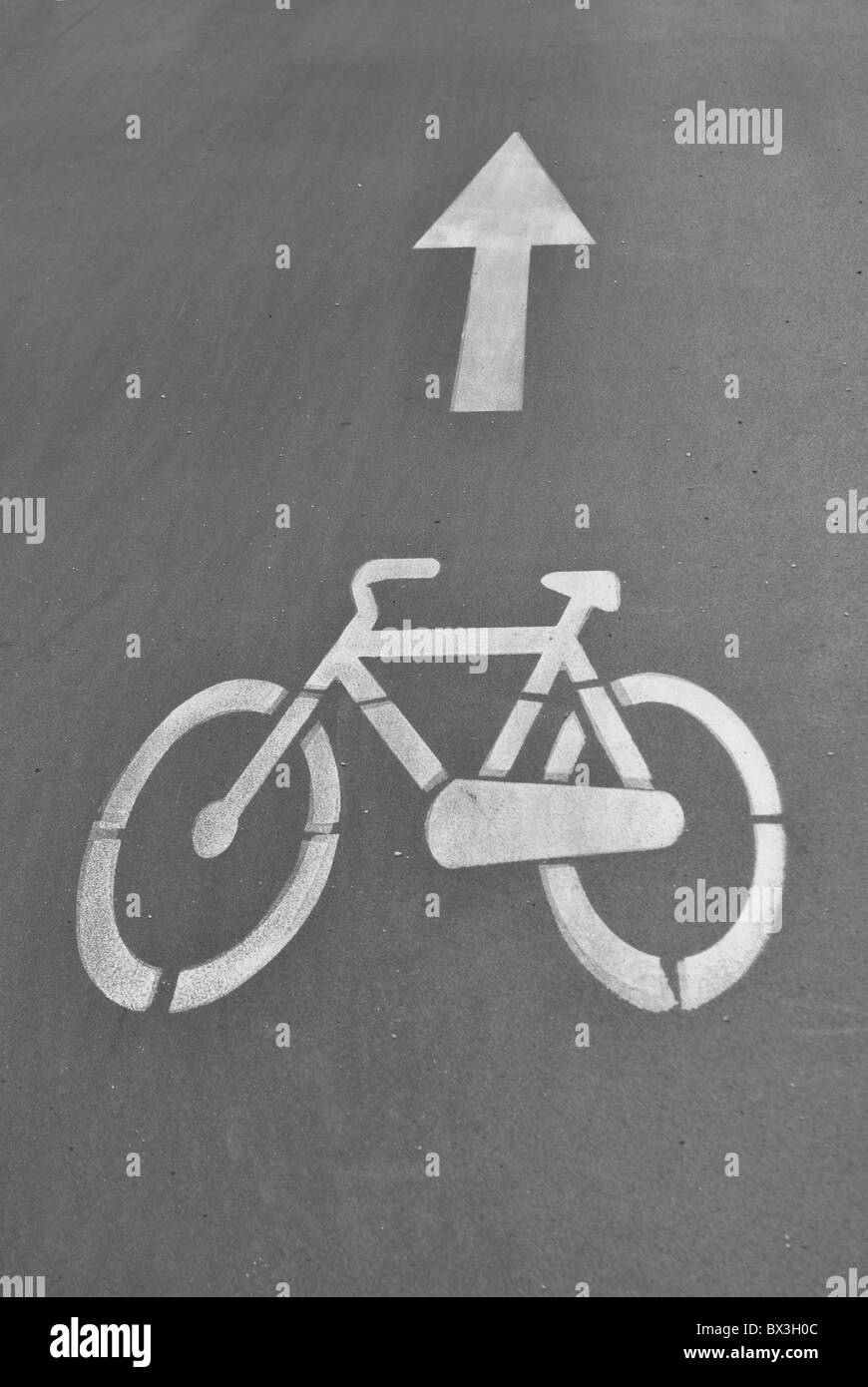 road for bicycles surrounded by nature Stock Photo - Alamy