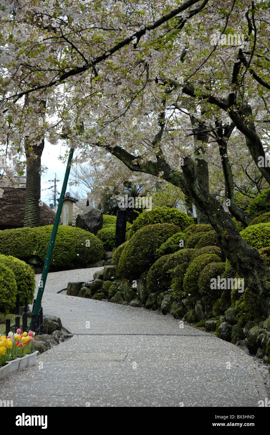 Beppu, Oita Prefecture, Kyushu, Japan Stock Photo - Alamy
