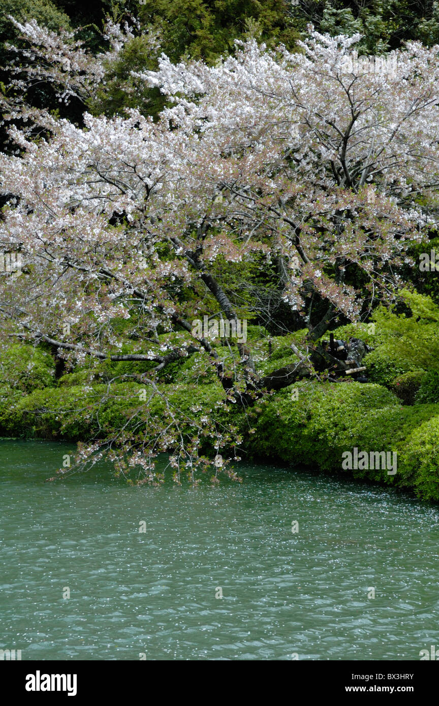Beppu, Oita Prefecture, Kyushu, Japan Stock Photo - Alamy