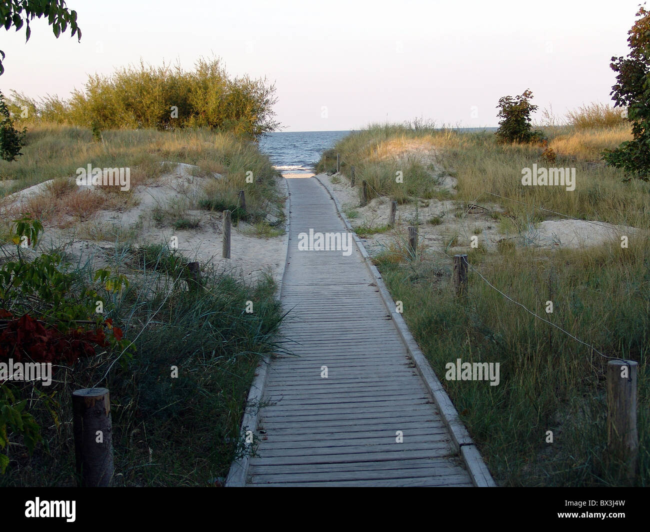 Usedom seaside resort Ahlbeck dune grass dunes coast sea Baltic Sea ...