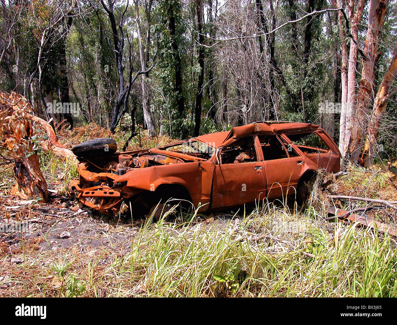 Stolen For Scrap High Resolution Stock Photography and Images - Alamy