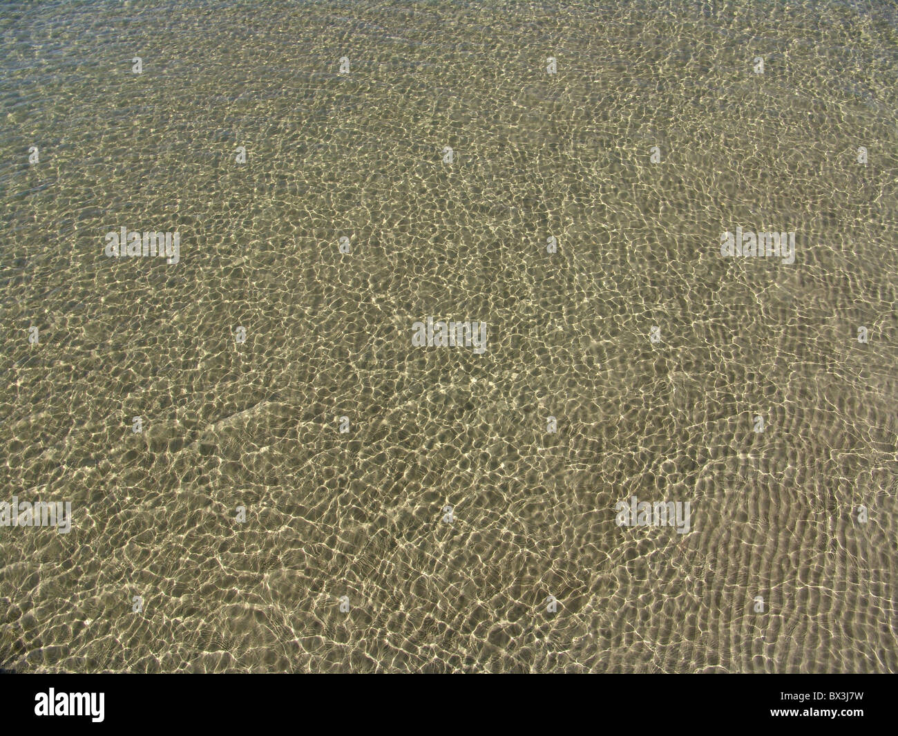 Shallow level hi-res stock photography and images - Alamy