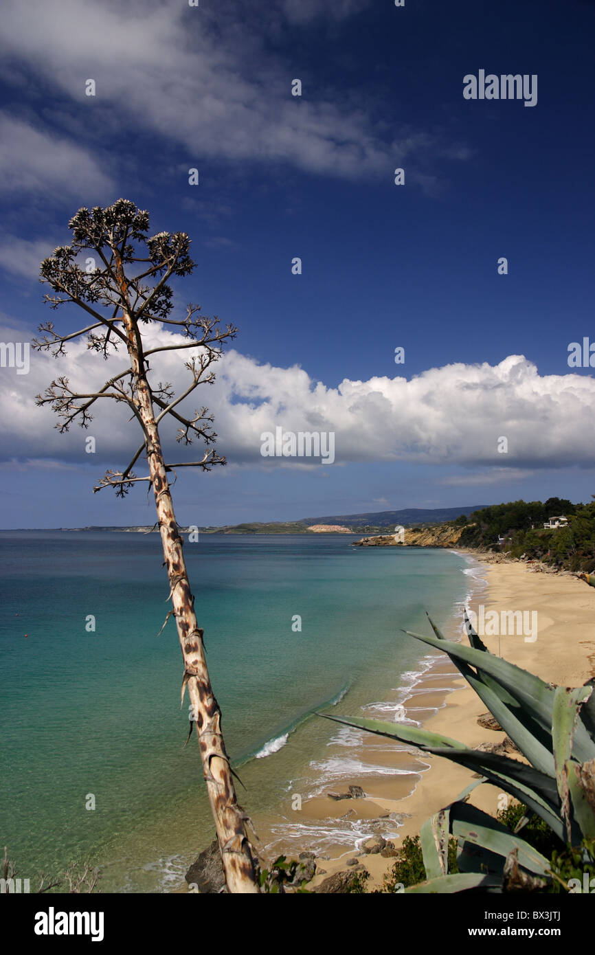 Makris gialos beach in Kefalonia island Stock Photo - Alamy