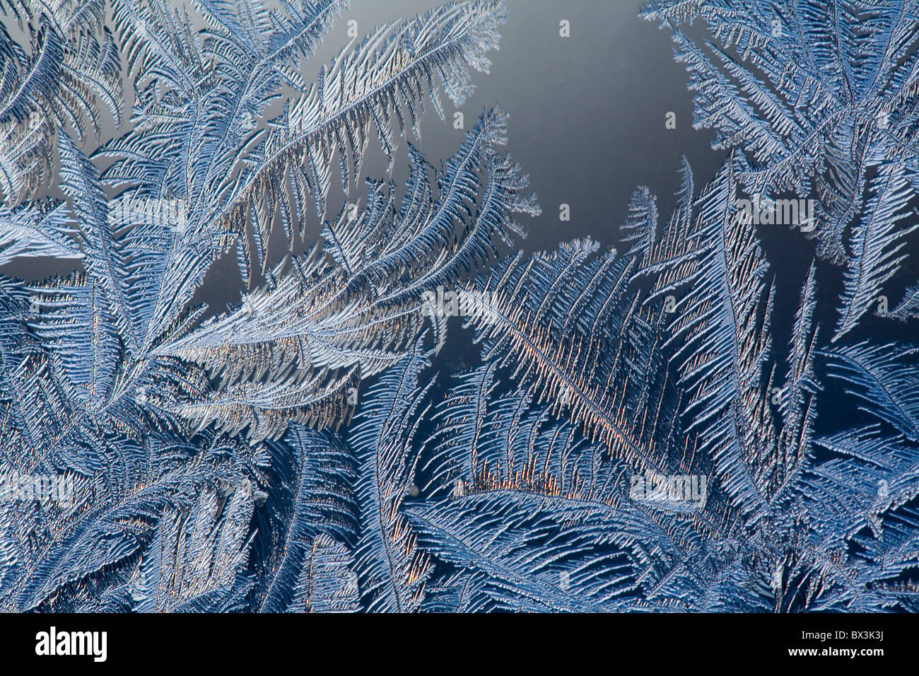 Ice snow crystal Frost pattern on window winter Stock Photo - Alamy