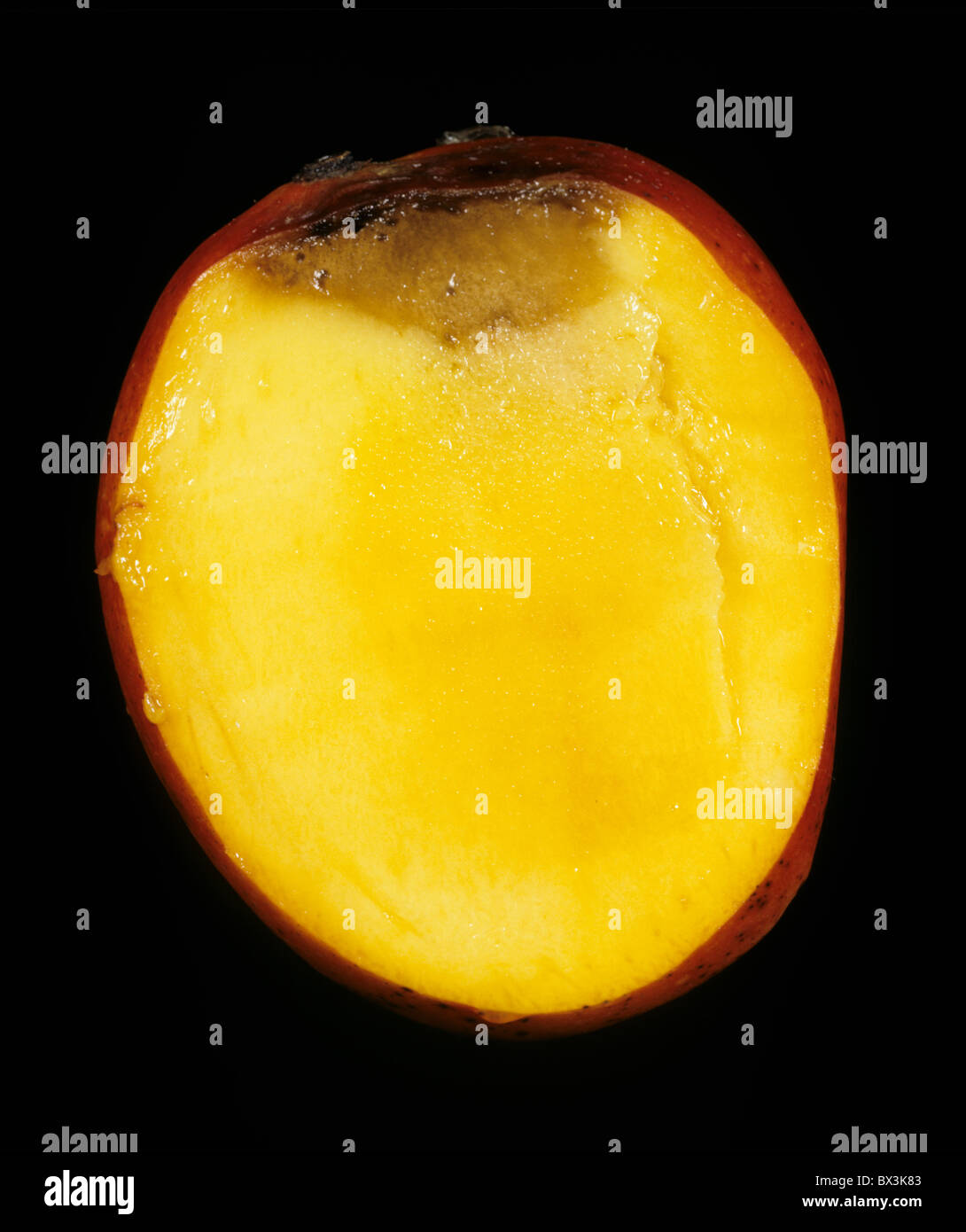 Rot mango fruit hi-res stock photography and images - Alamy