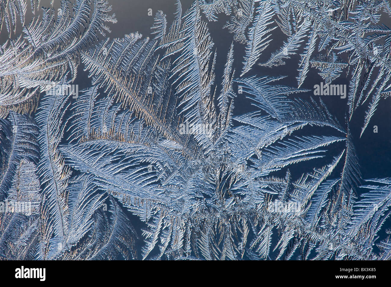 Ice snow crystal Frost pattern on window winter Stock Photo - Alamy