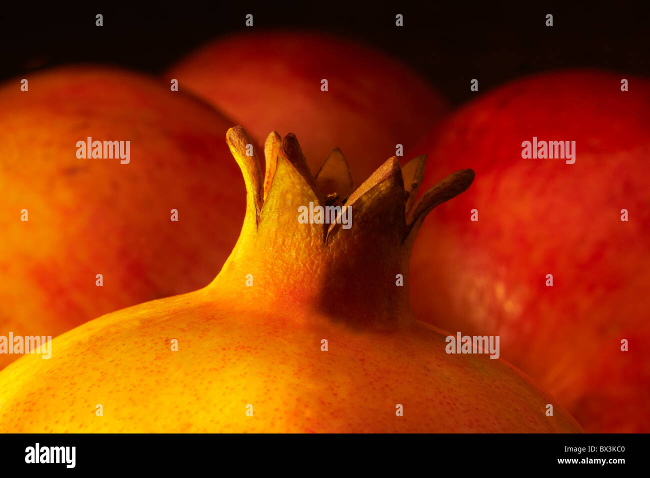 Pomegranate crown hi-res stock photography and images - Alamy