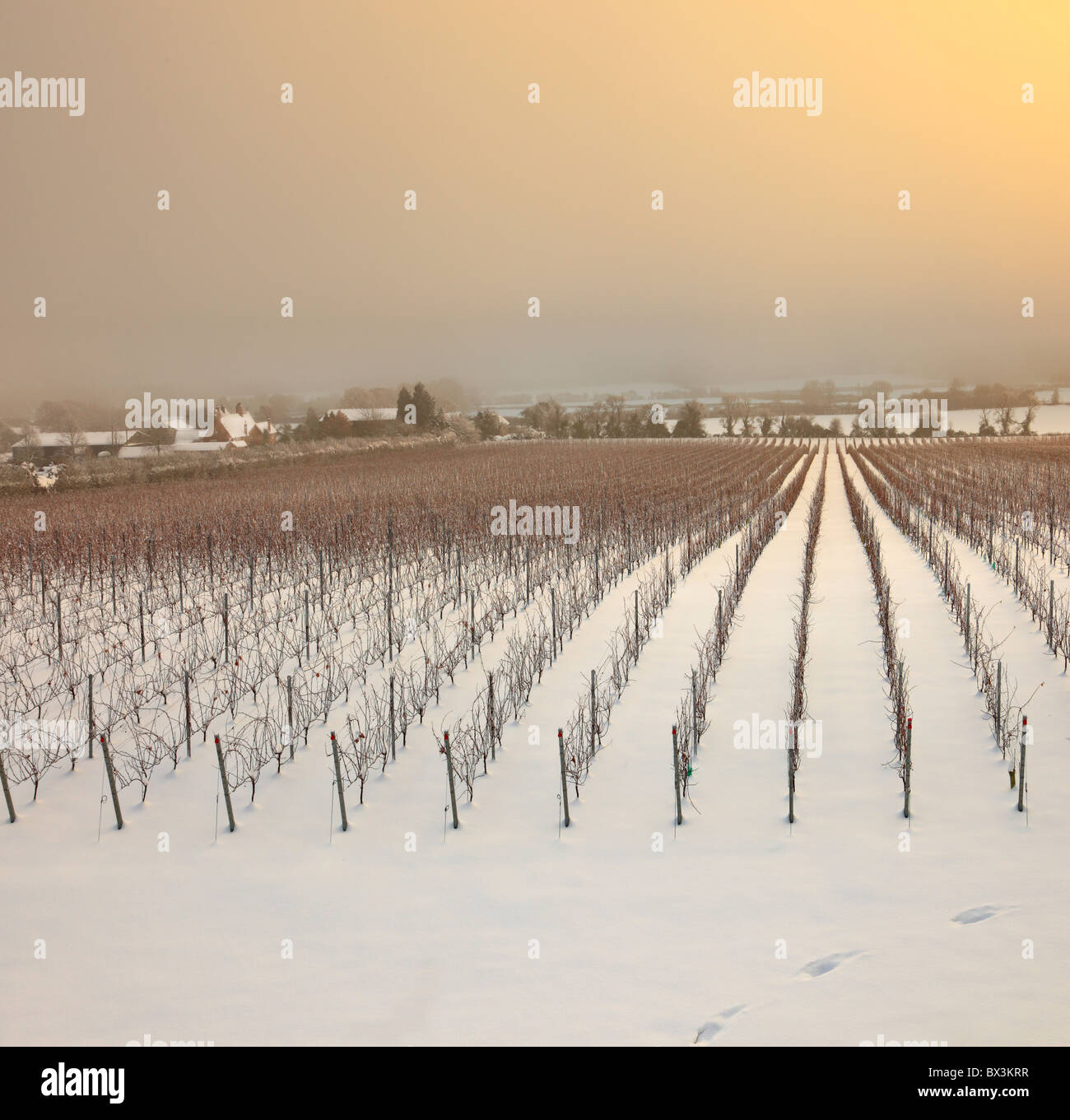 English snowy landscape hi-res stock photography and images - Alamy