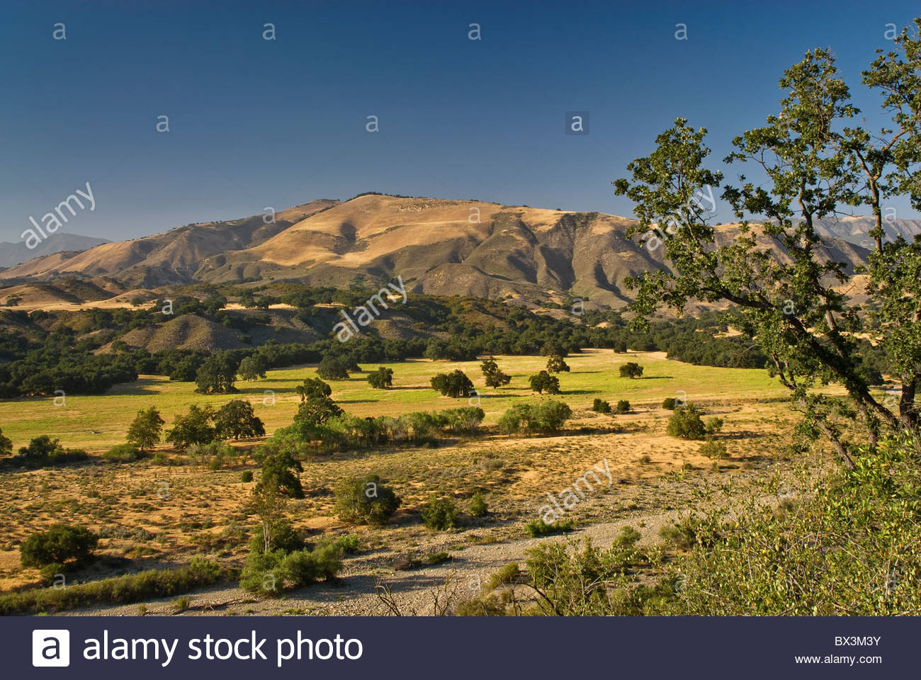 Santa Ynez Mountains Stock Photos & Santa Ynez Mountains Stock Images ...