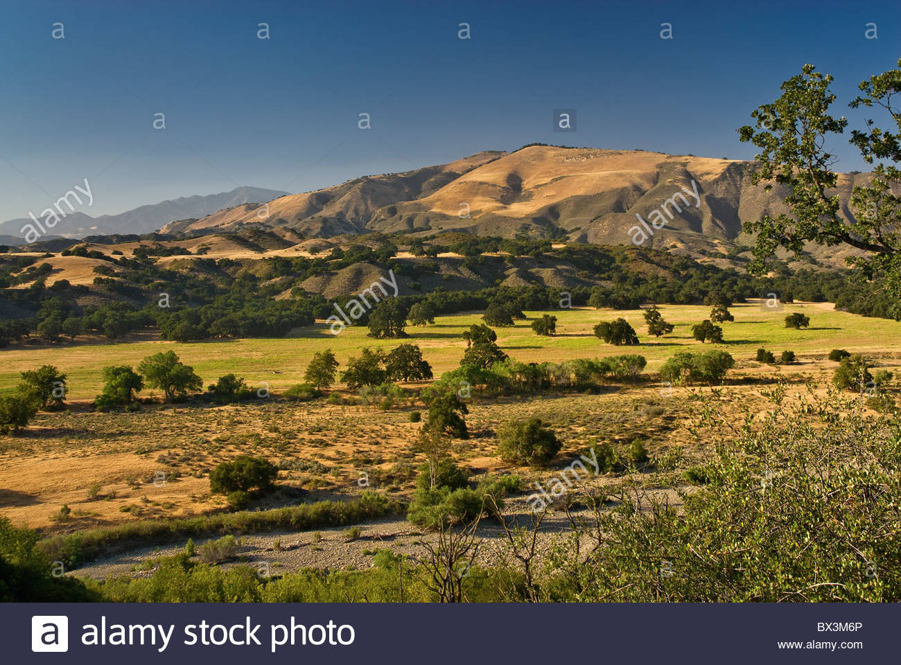 Pacific Coast Ranges High Resolution Stock Photography and Images - Alamy