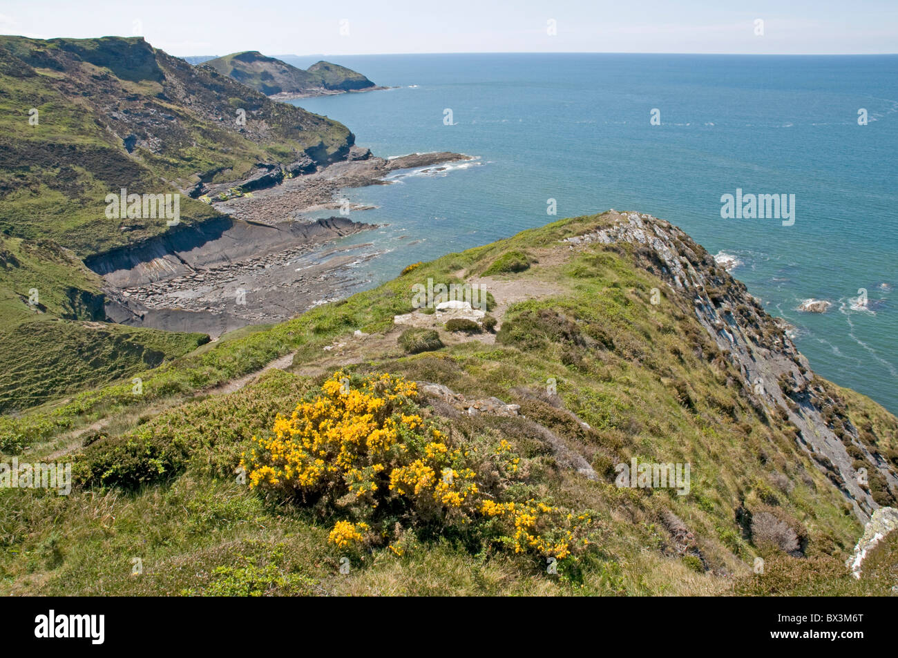 On the coast path near Castle Point in north Cornwall, with Pencannow ...