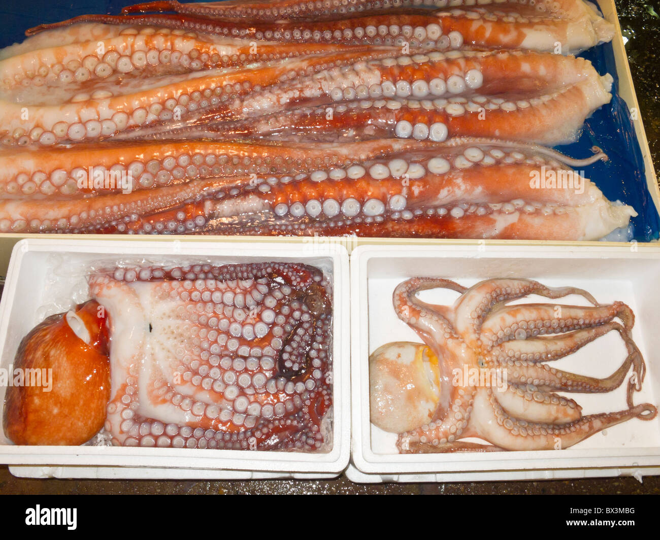 Octopus for sale at Noryangjin fish market, Seoul, South Korea Stock ...