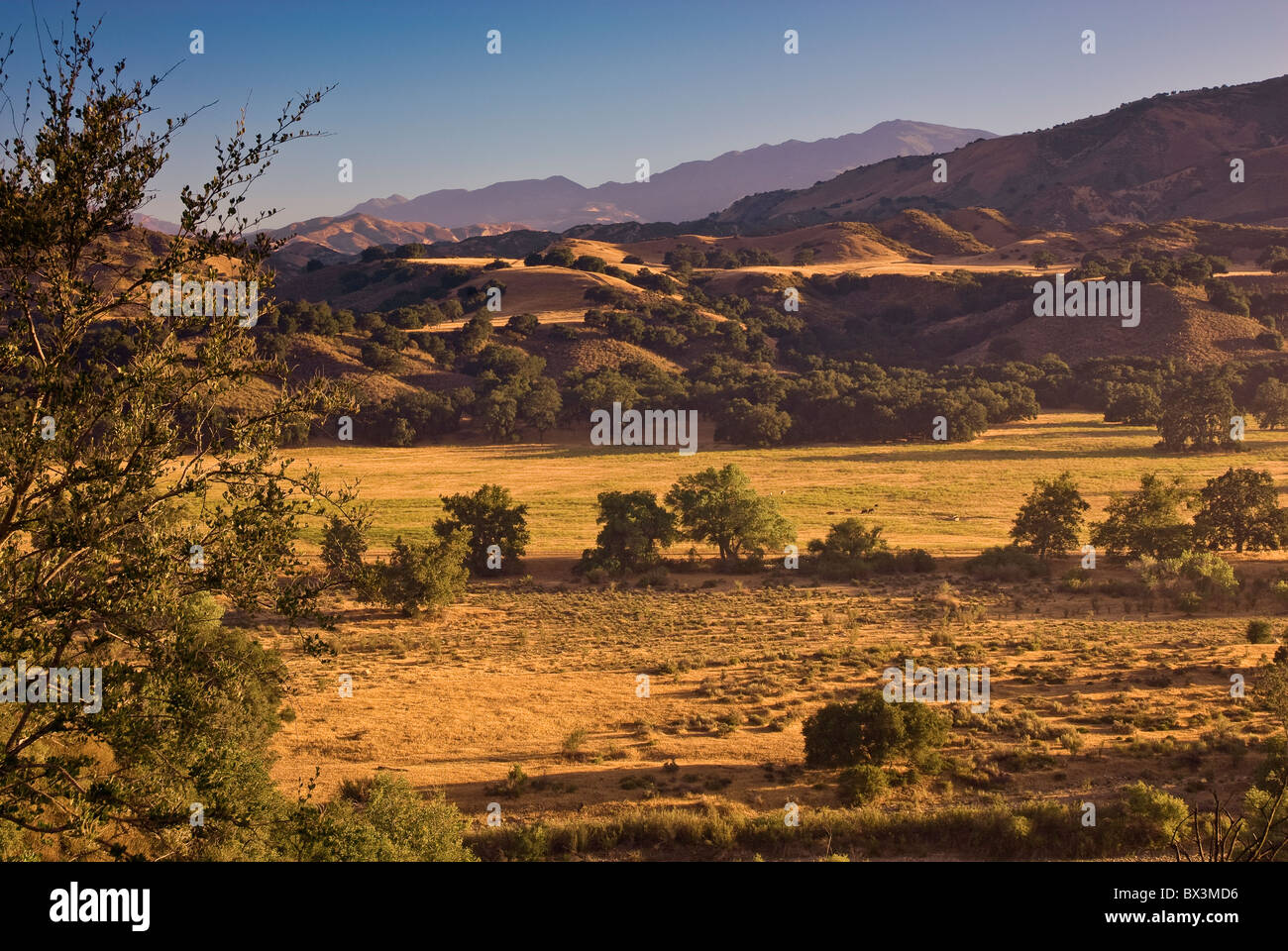 Transverse ranges hi-res stock photography and images - Alamy
