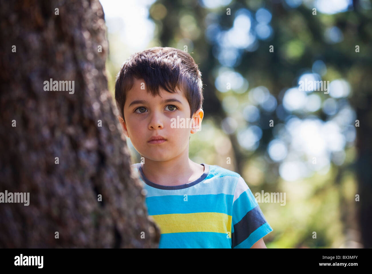 A Boy Hiding Behind A Tree; Langley, British Columbia, Canada Stock ...