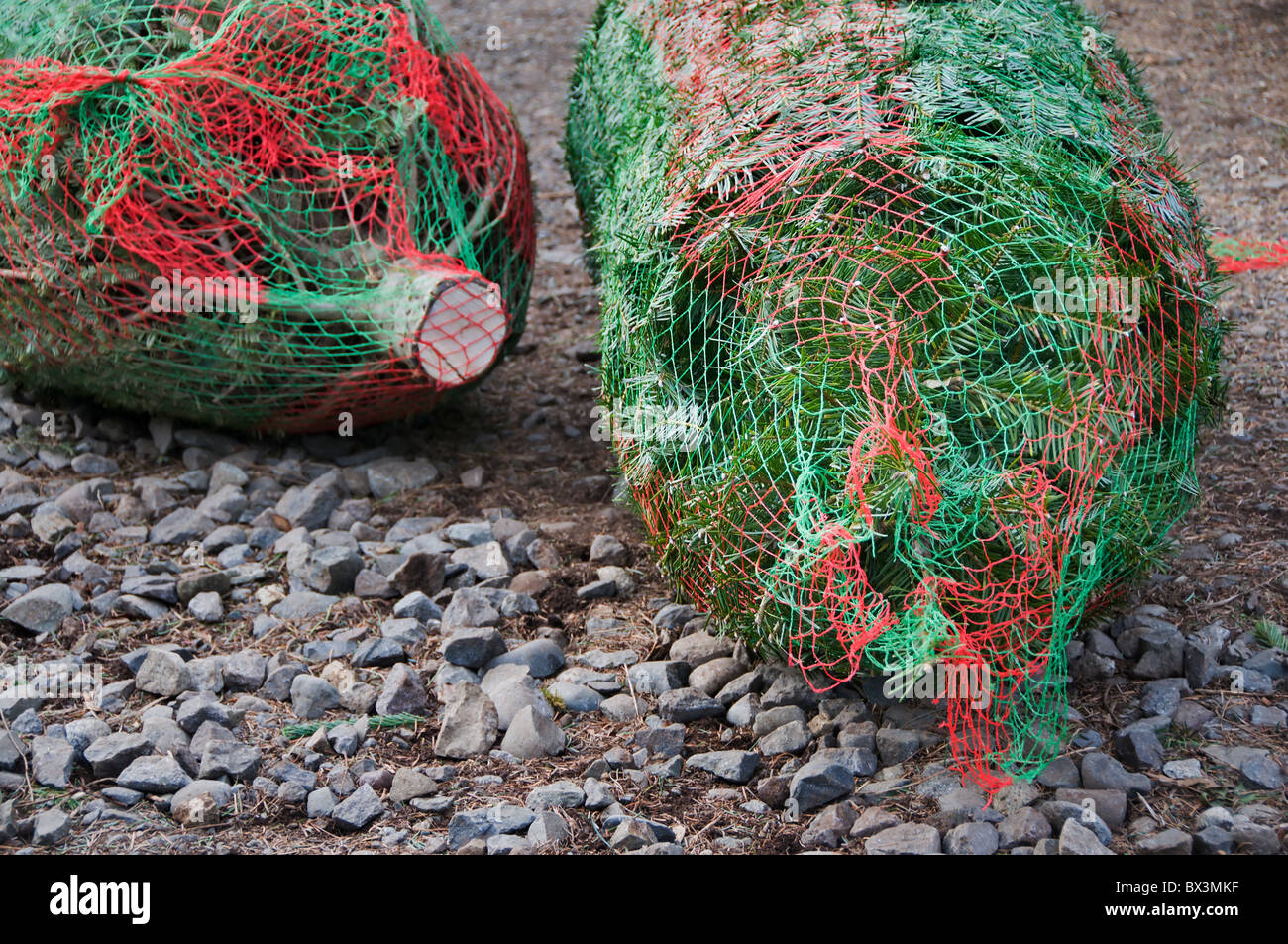 Ground netting hi-res stock photography and images - Alamy