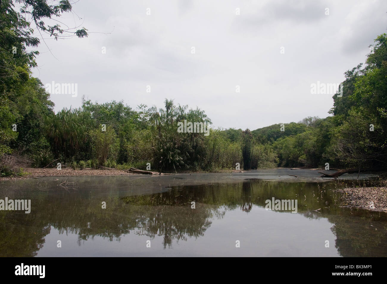 Tucunare Fish High Resolution Stock Photography and Images - Alamy