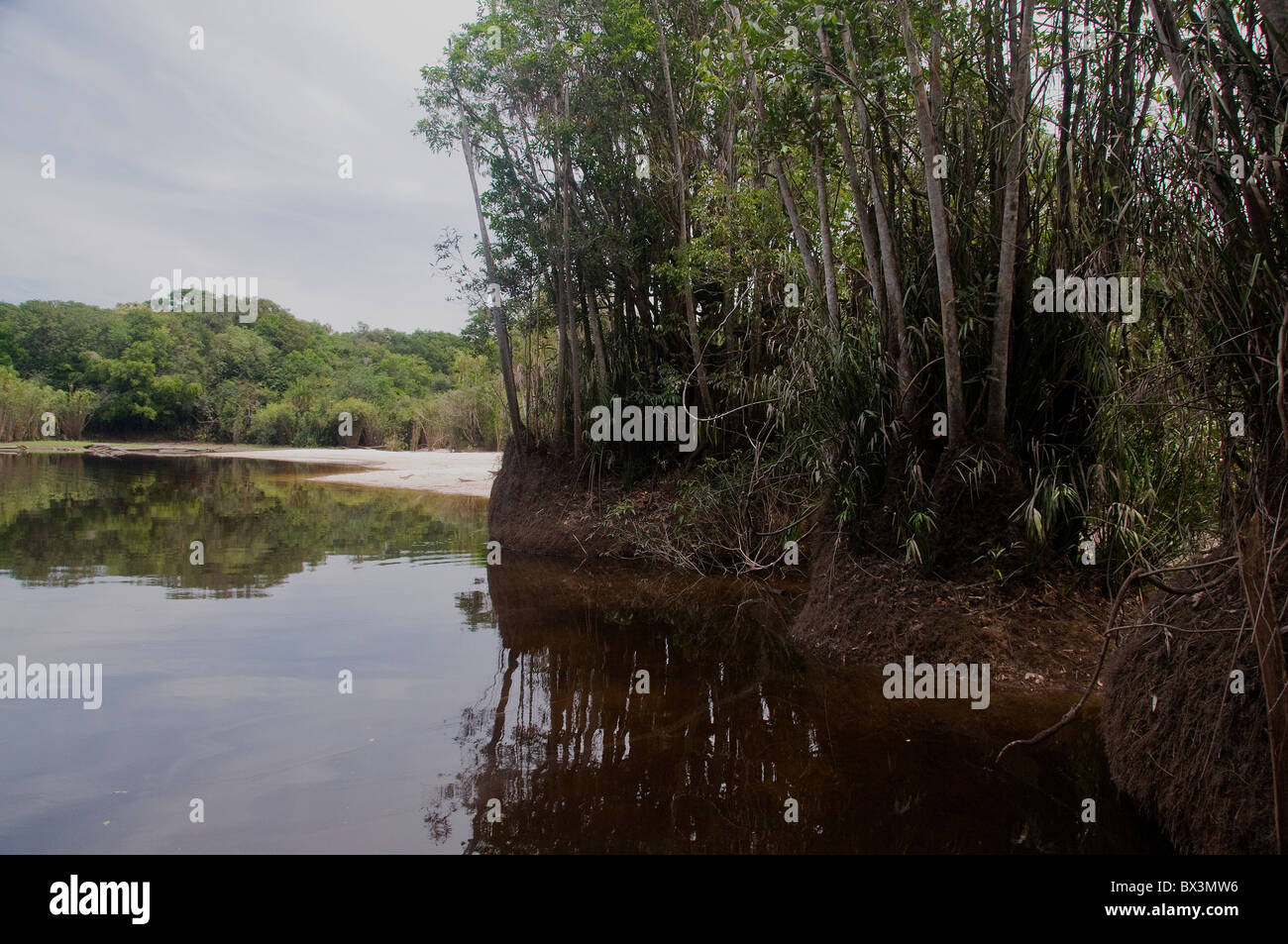Amazon river tributaries hi-res stock photography and images - Alamy
