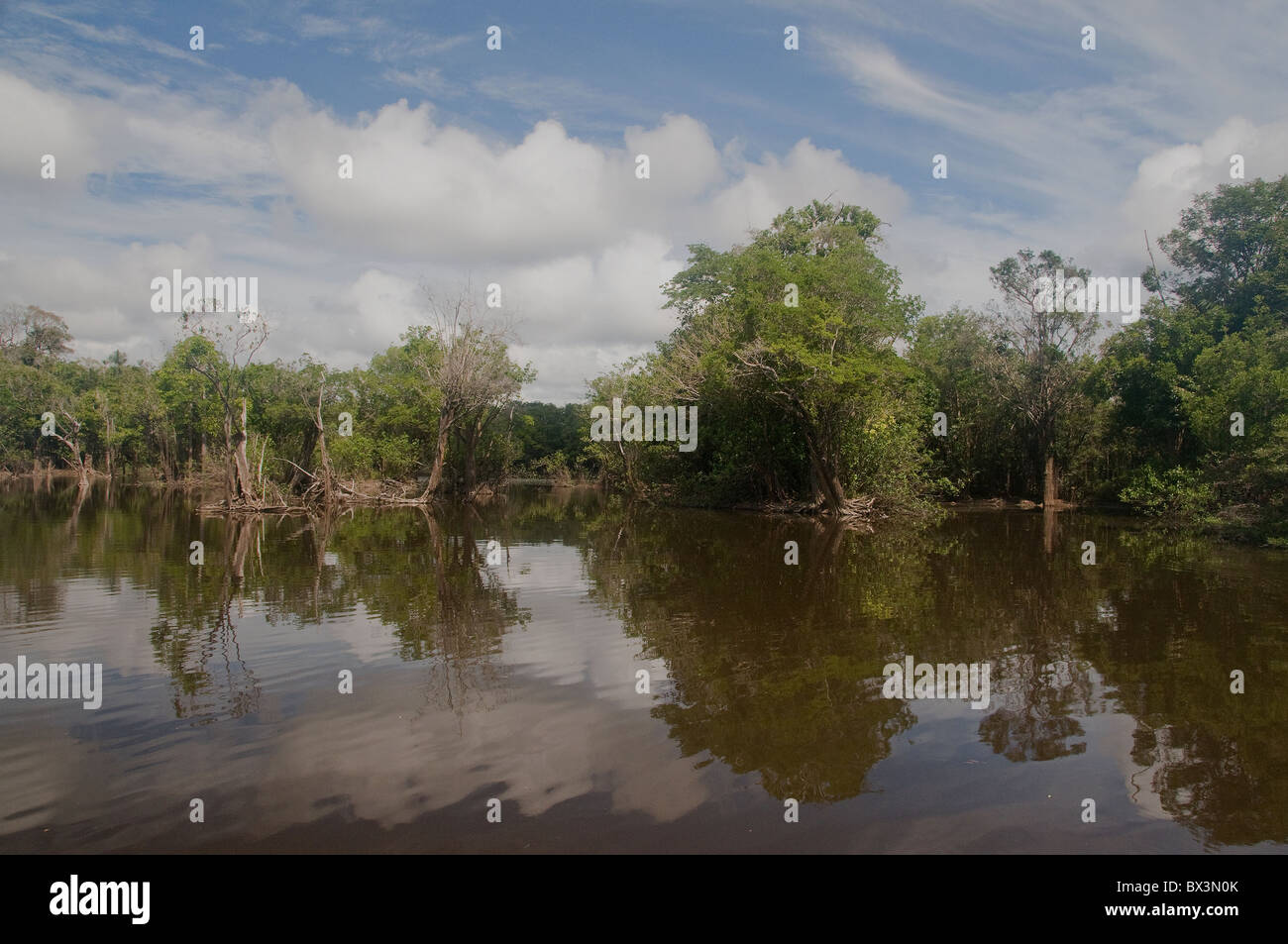 Amazon river tributaries hi-res stock photography and images - Alamy