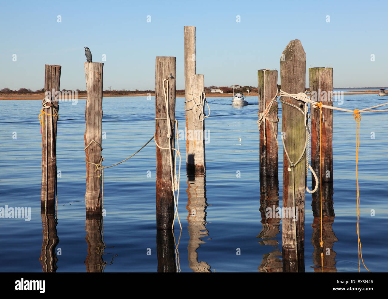 Captree state park ii hi-res stock photography and images - Alamy