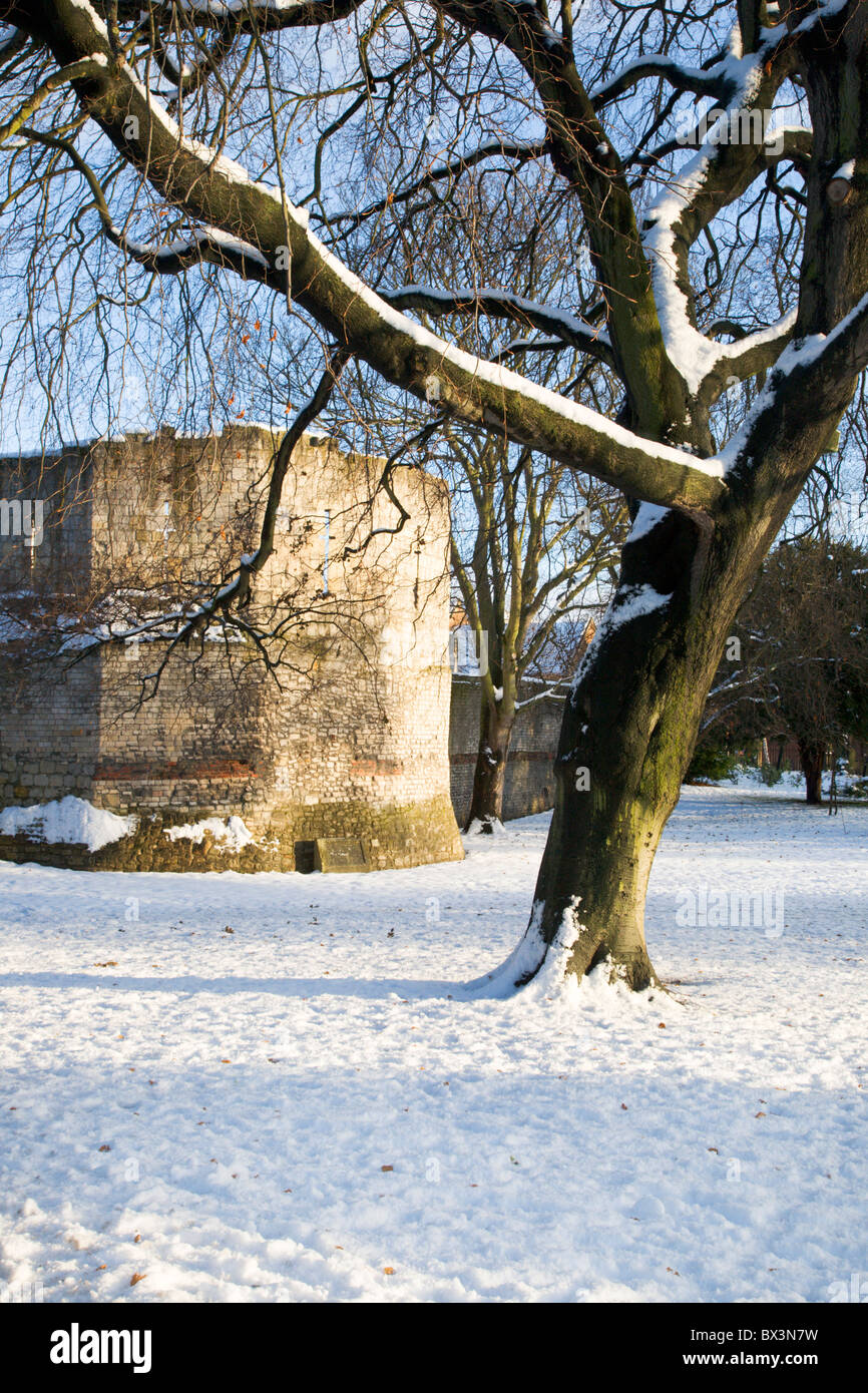 Multangular Tower in Museum Gardens York Yorkshire England Stock Photo ...