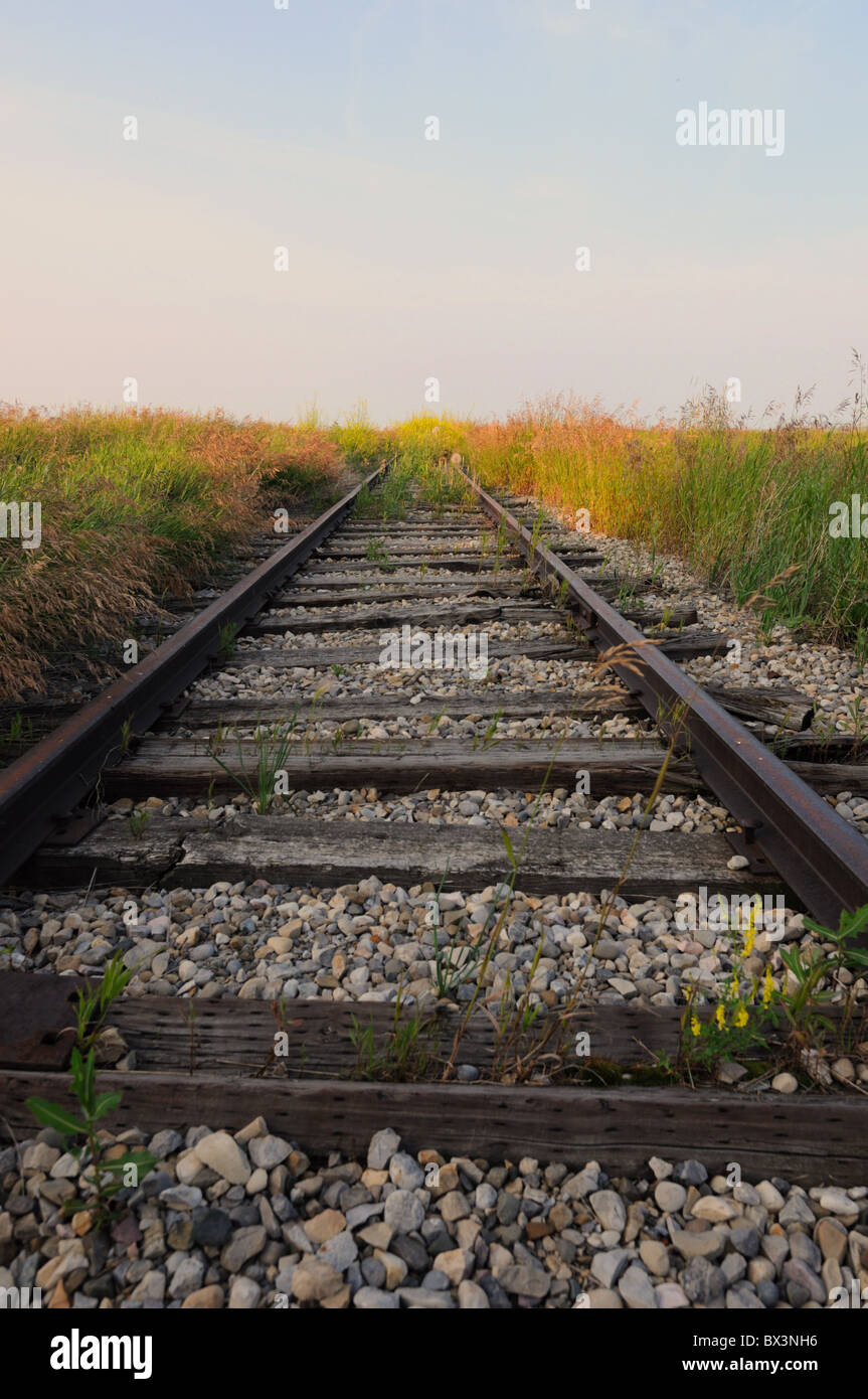 Wood train tracks on the horizon Stock Photo - Alamy