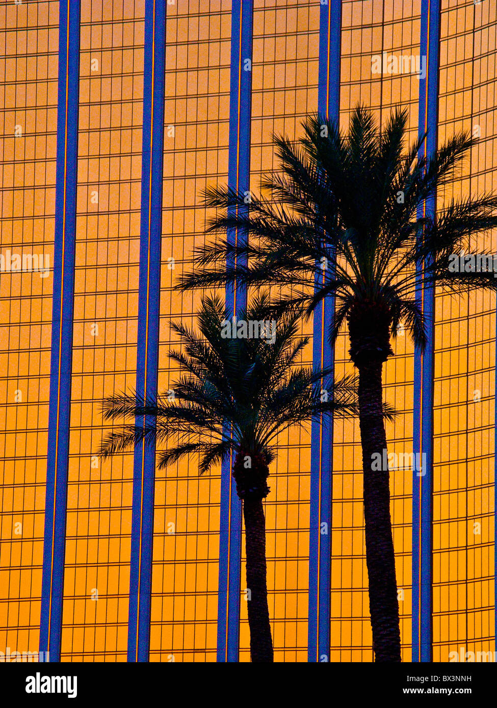 Hotel window reflection and palm trees Stock Photo - Alamy