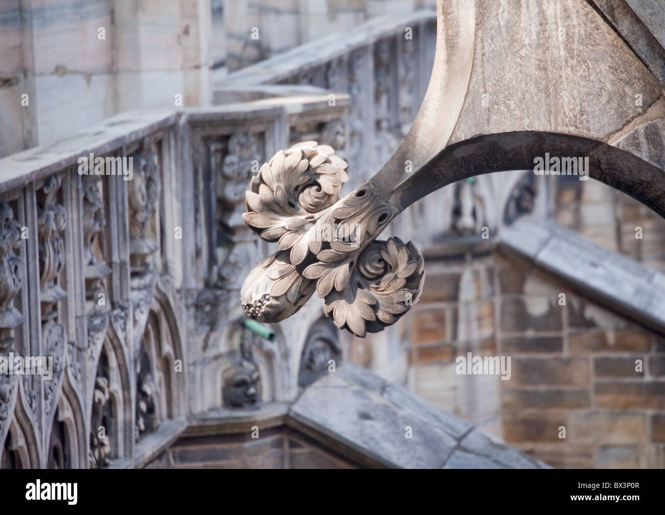 Gothic carving hi-res stock photography and images - Alamy