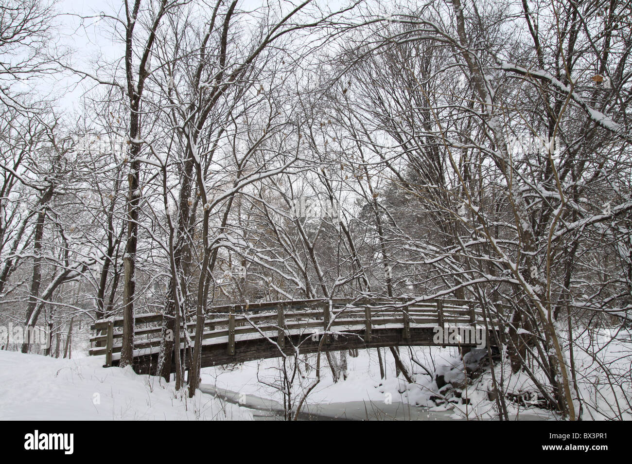 A snow covered foot bridge across a creek in Minneapolis, Minnesota in ...