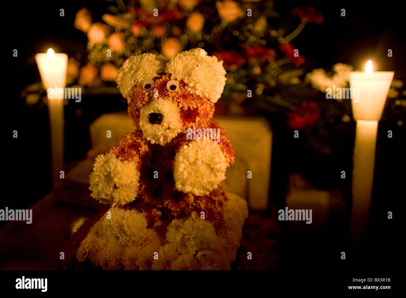 Dead bear hi-res stock photography and images - Alamy