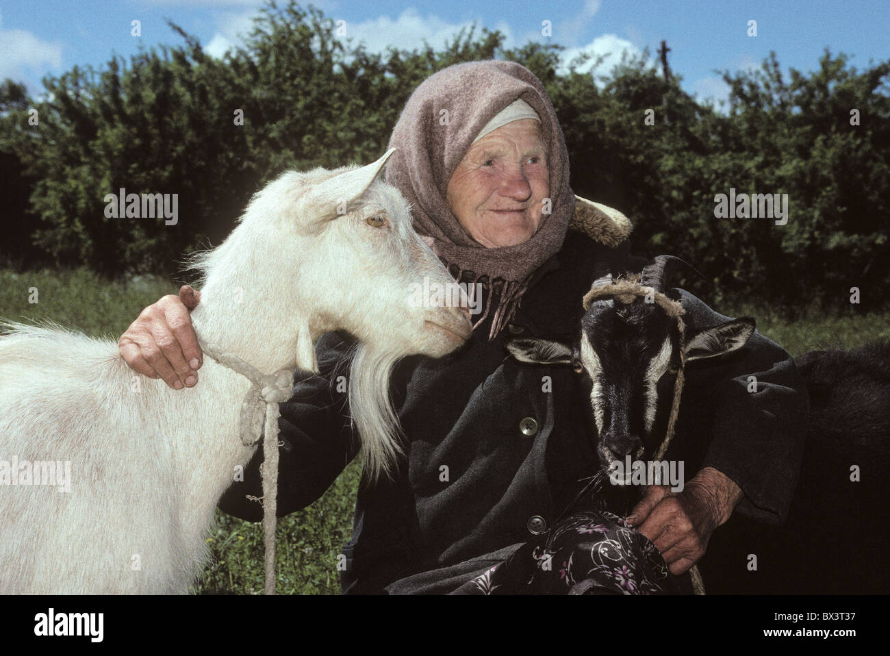 Old woman with goats hi-res stock photography and images - Alamy
