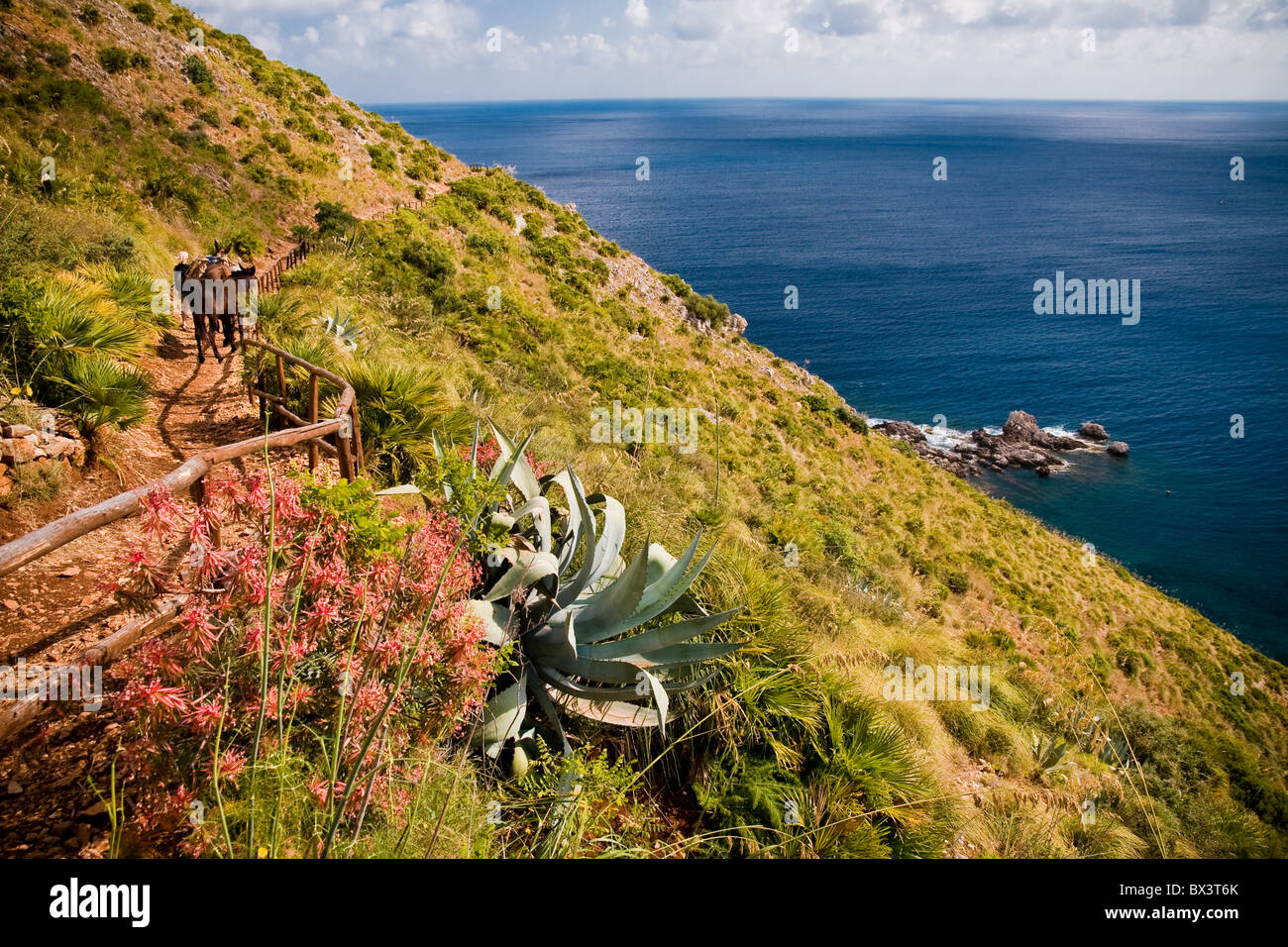 Zingaro reserve hi-res stock photography and images - Alamy