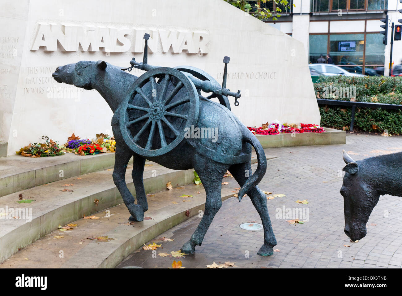 Animal war memorial hi-res stock photography and images - Alamy