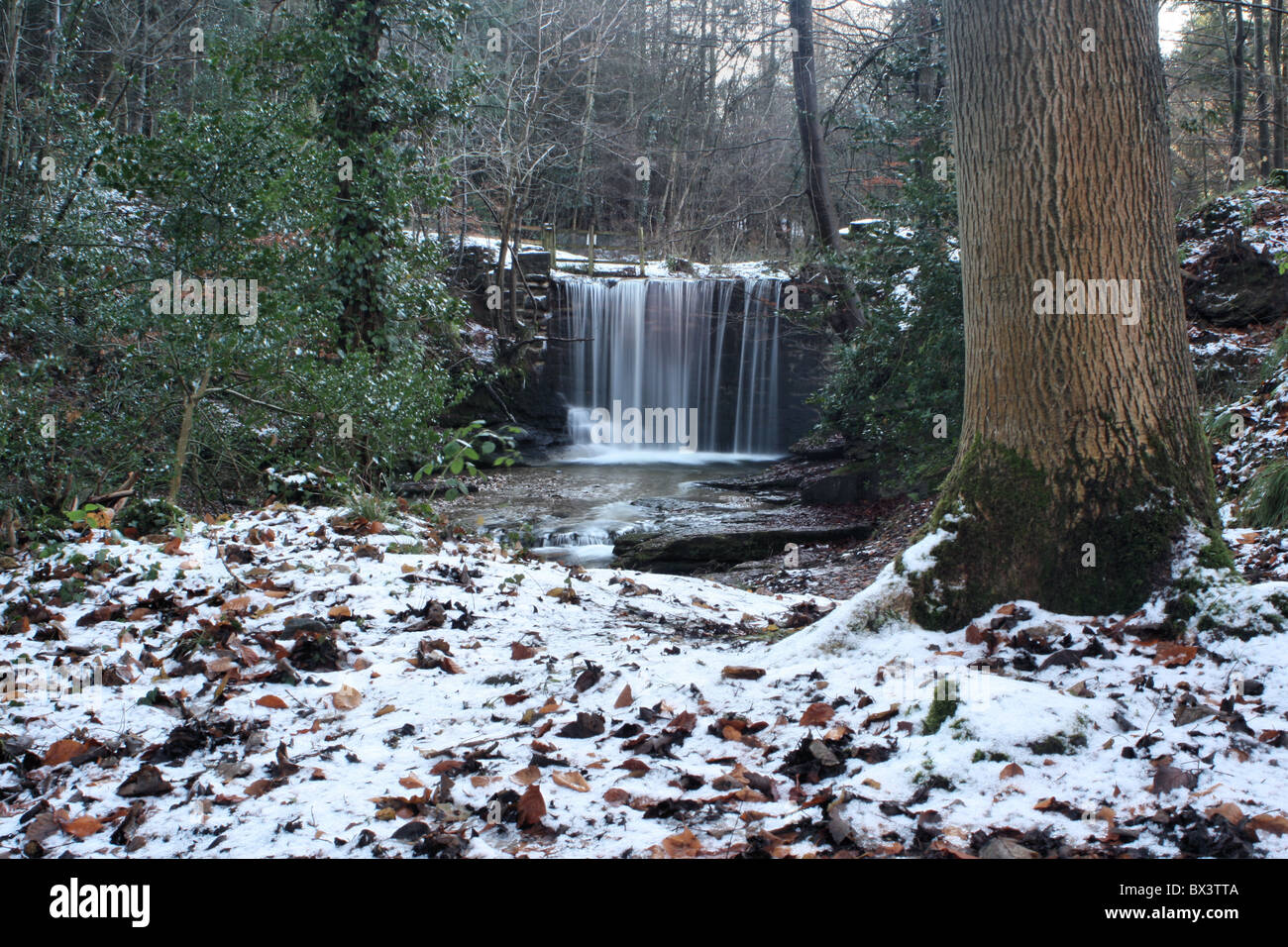 Bersham waterfall and River Clywedog with snow and autumn leaves near ...