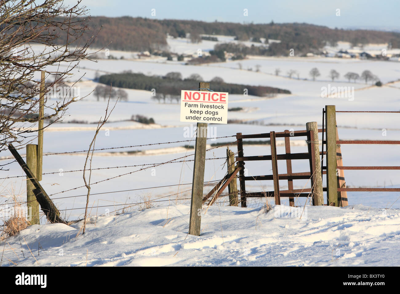 Farmers field,with animal warning sign Stock Photo - Alamy