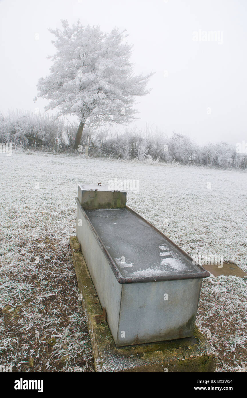 Frozen water trough in pre-Christmas freeze 2010 Stock Photo - Alamy