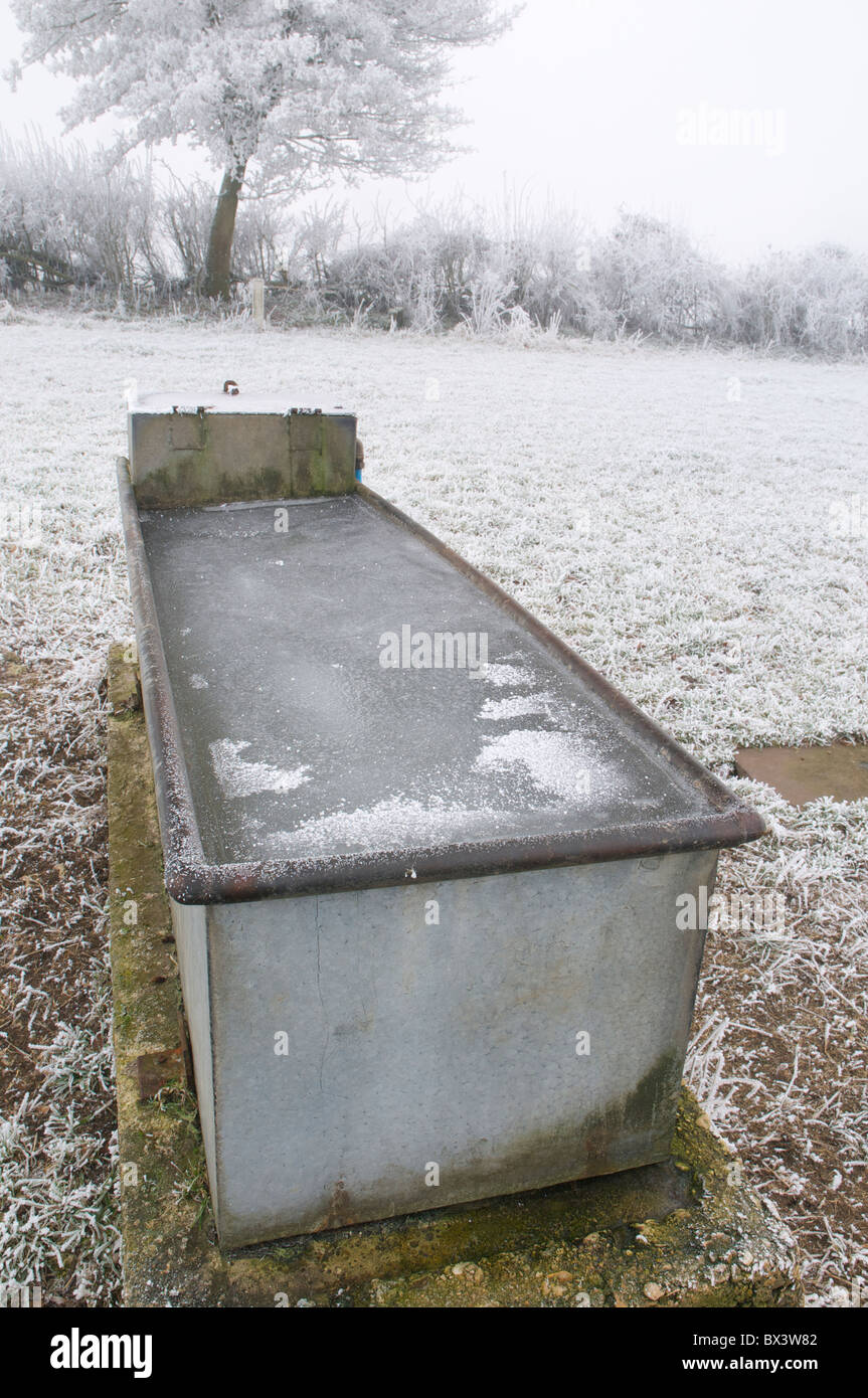 Frozen water trough in pre-Christmas freeze 2010 Stock Photo - Alamy