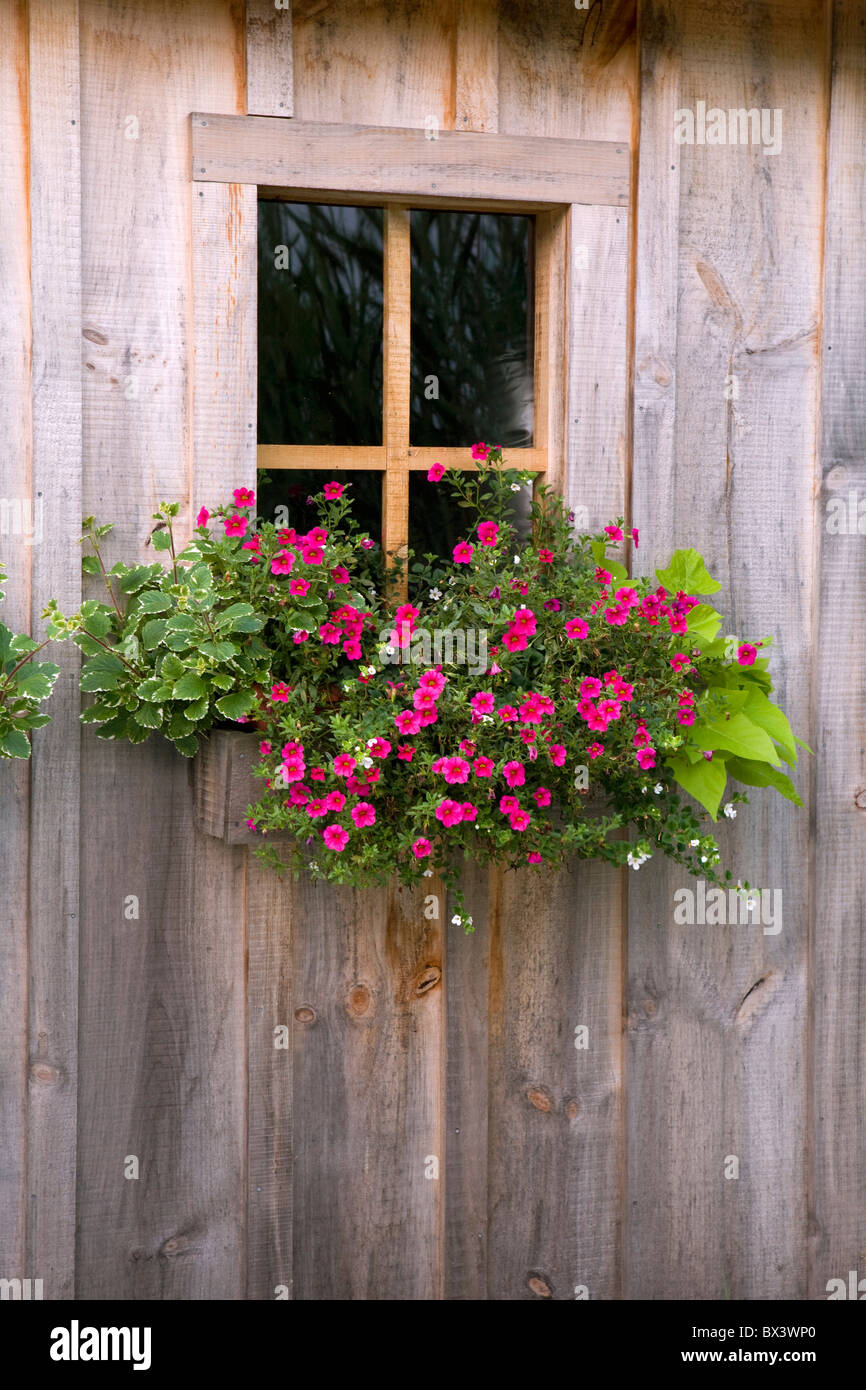Outdoor flower box hi-res stock photography and images - Alamy