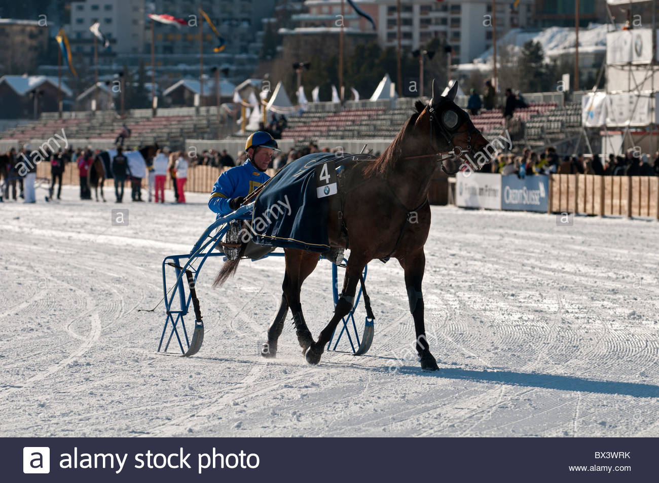 Harness Racing Standardbred Trotter Sulky High Resolution Stock ...