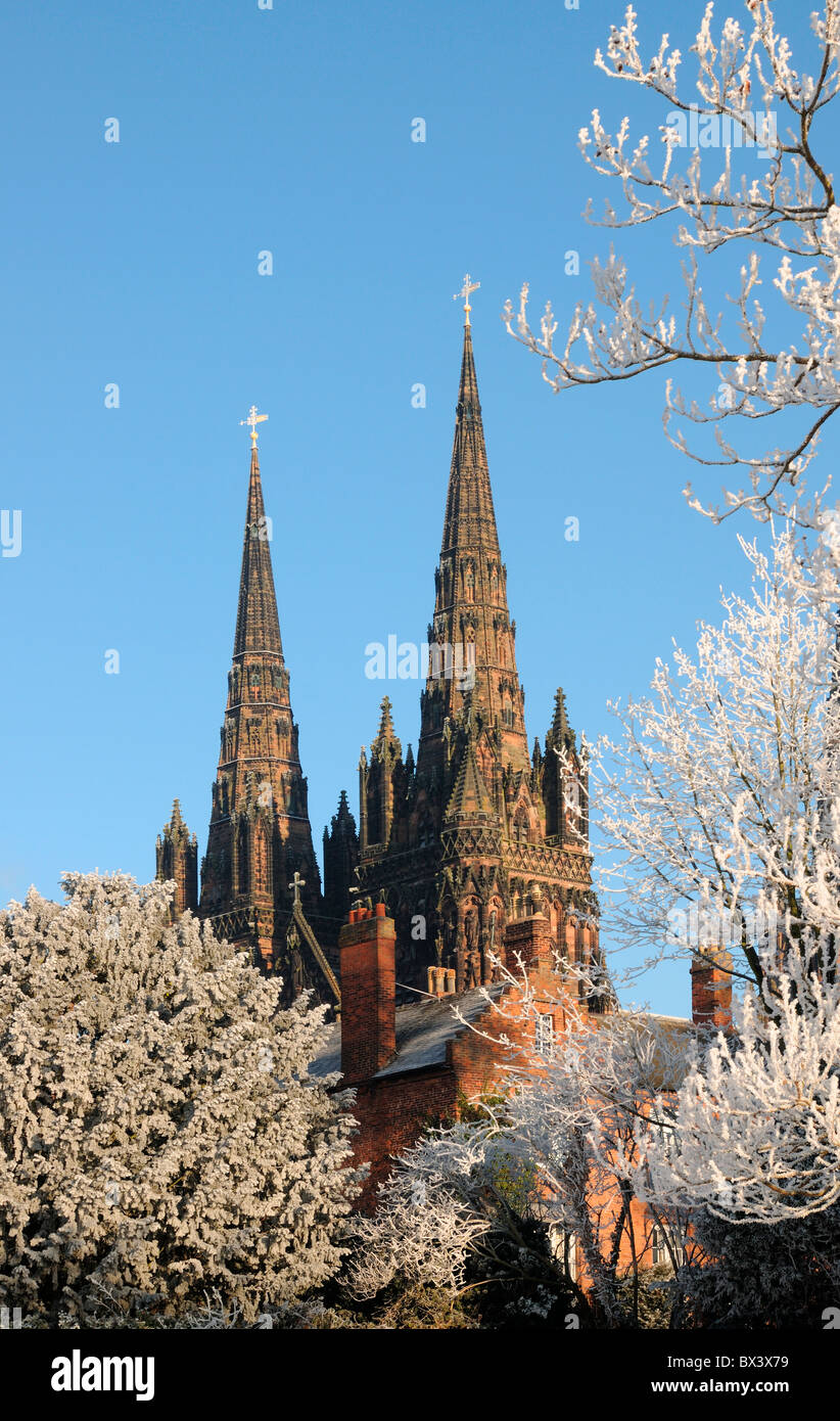 Winter scene of Lichfield Cathedral spires seen through trees with hoar ...