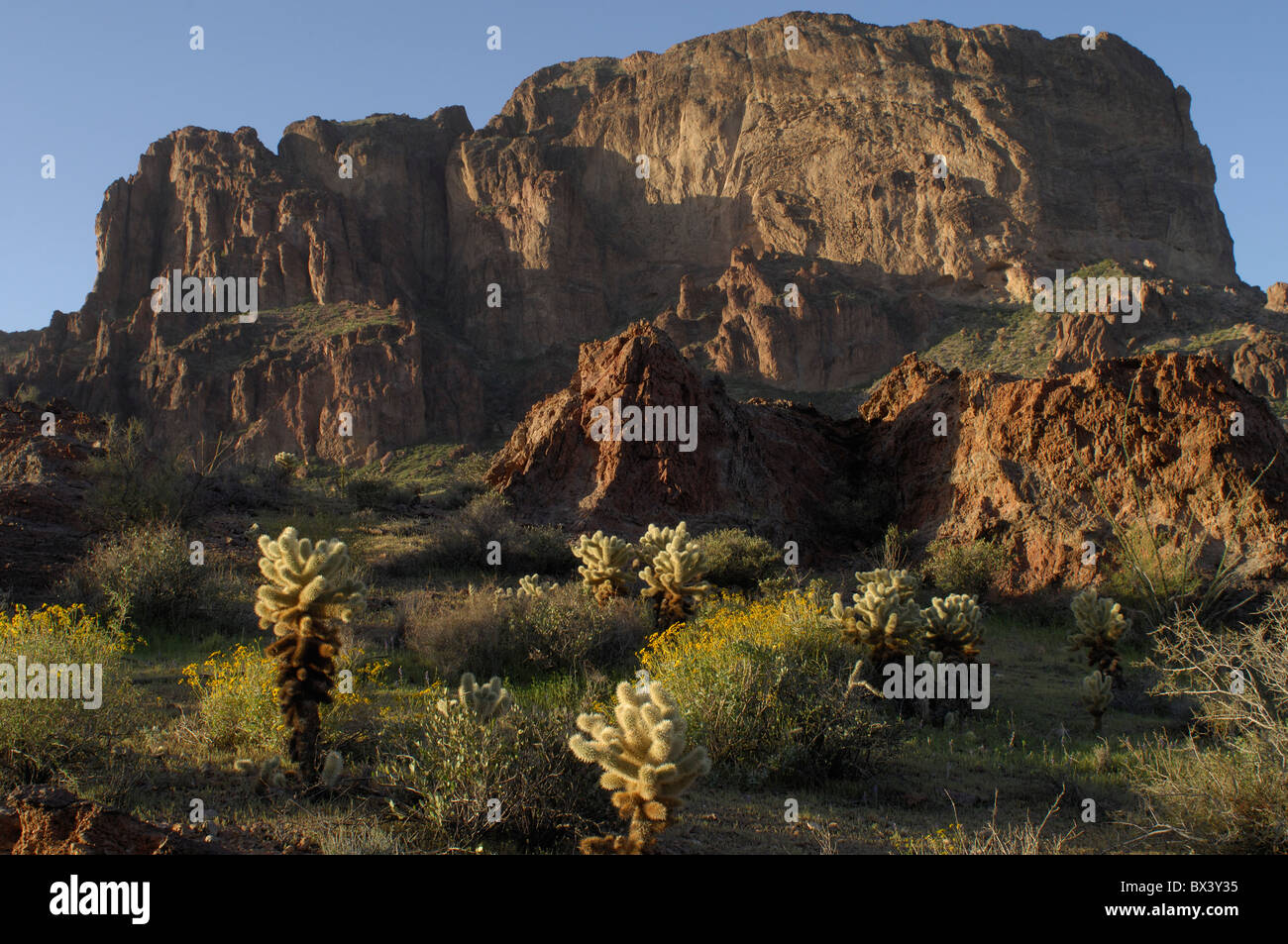 Kofa hi-res stock photography and images - Alamy