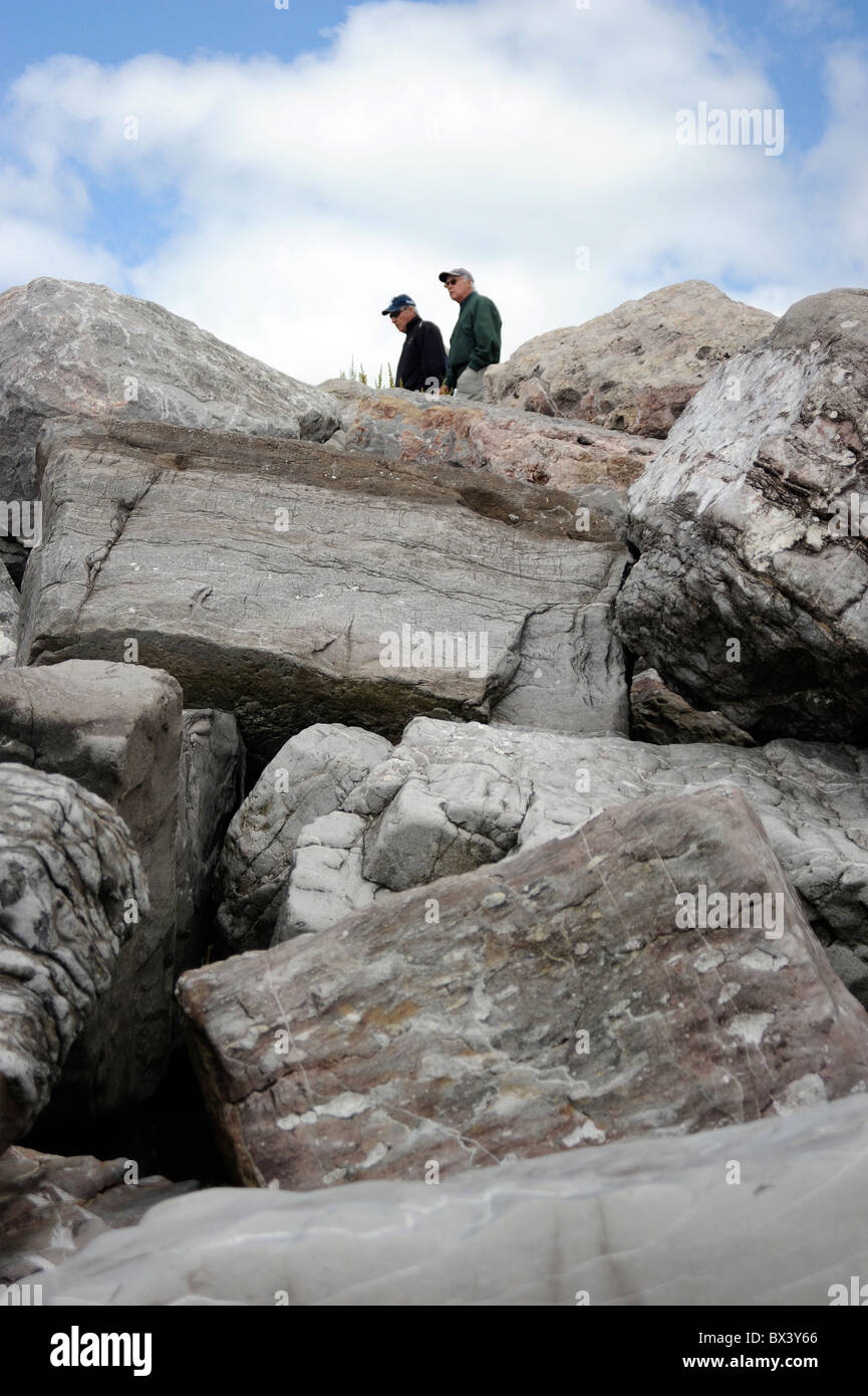 Rocks on Elmer Sands Beach, Bognor Regis, West Sussex Stock Photo - Alamy