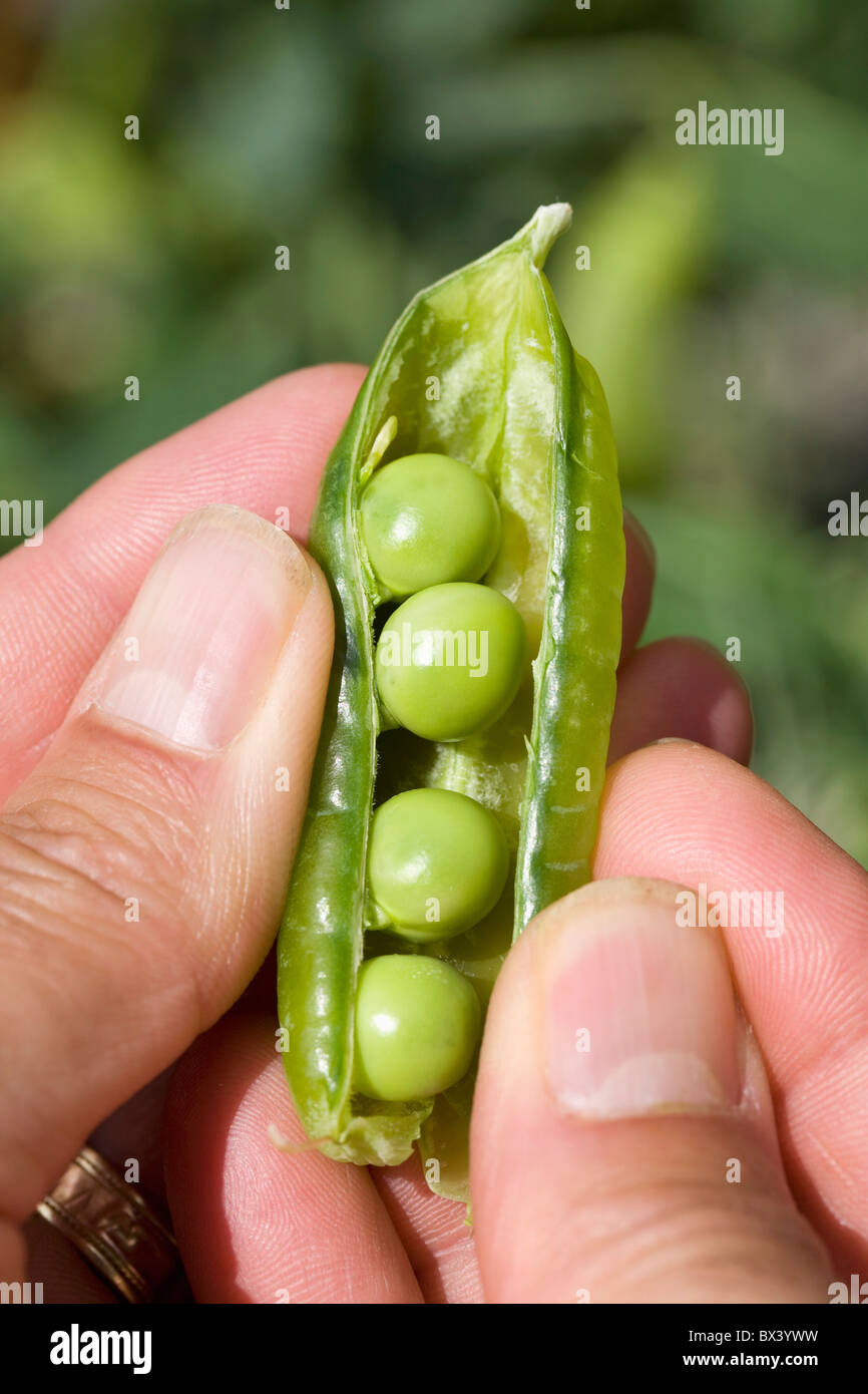 Fingers to the hand held high hi-res stock photography and images - Alamy