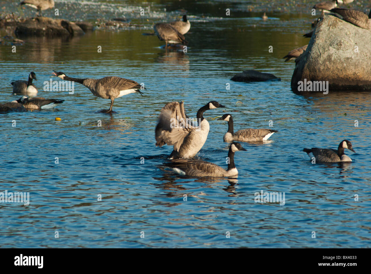 At whiteshell provincial park hi-res stock photography and images - Alamy