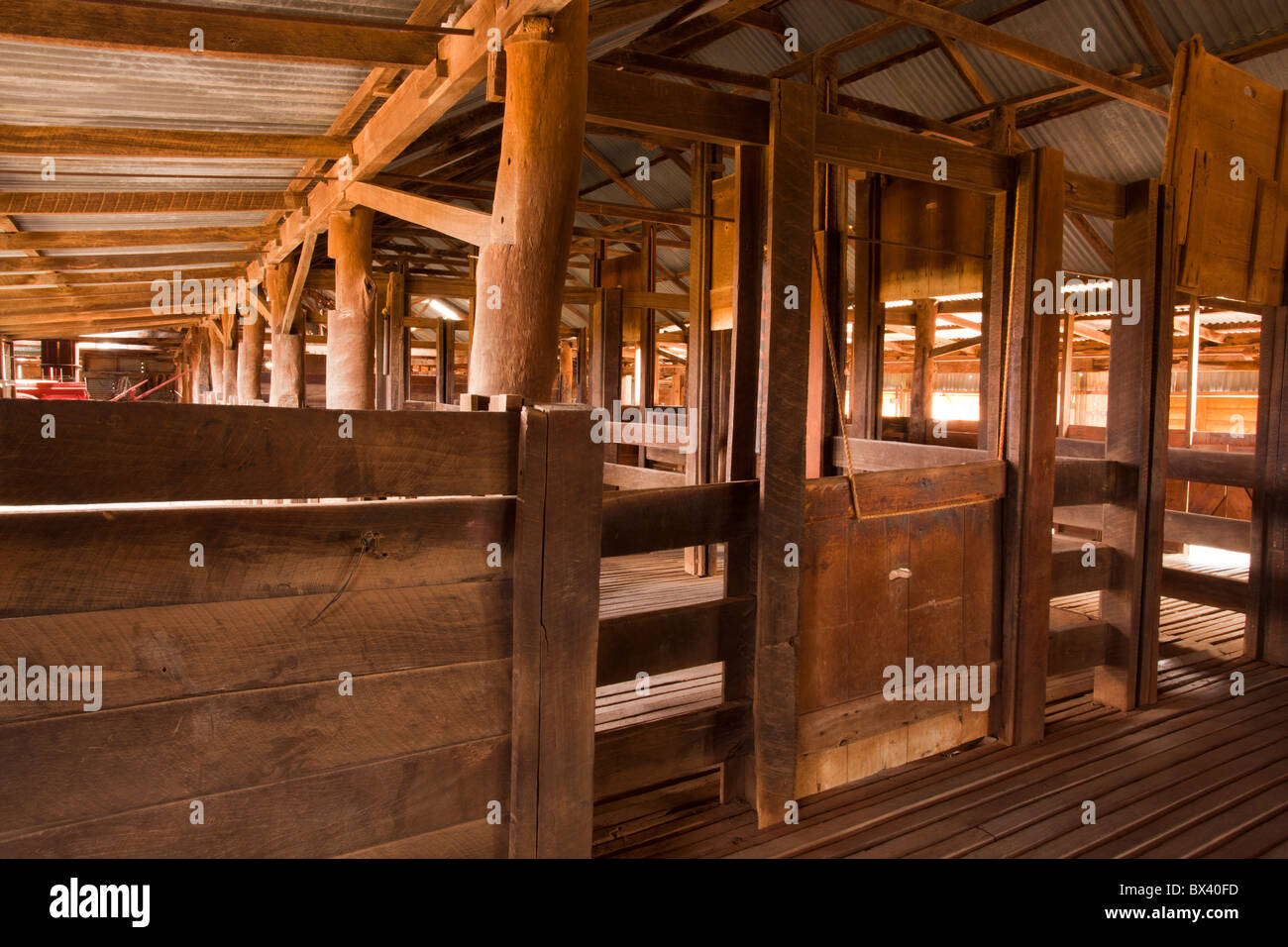 Sheep shearing shed australia hi-res stock photography and images - Alamy
