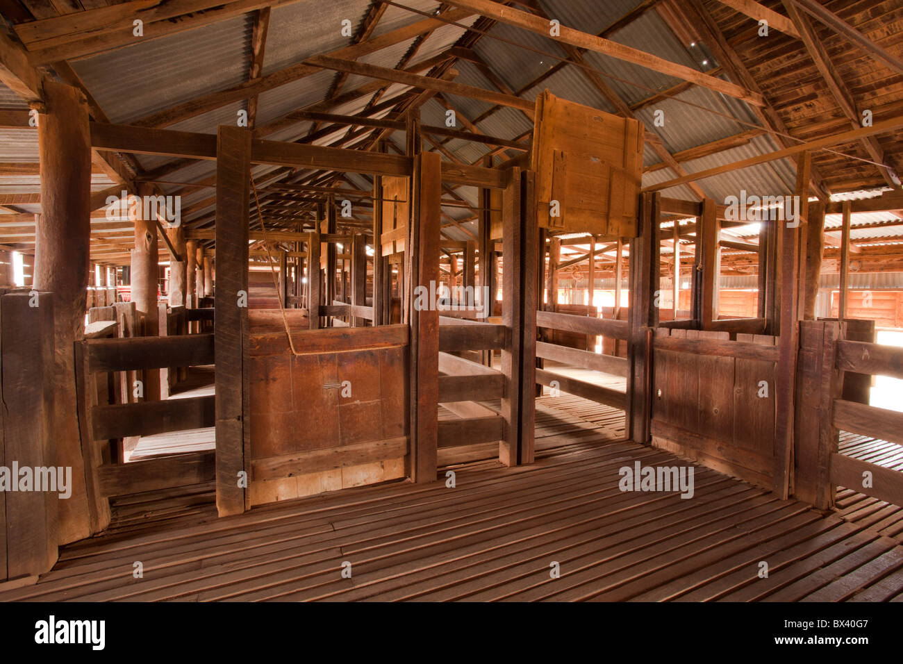 Sheep Shearing Shed Australia High Resolution Stock Photography and Images - Alamy