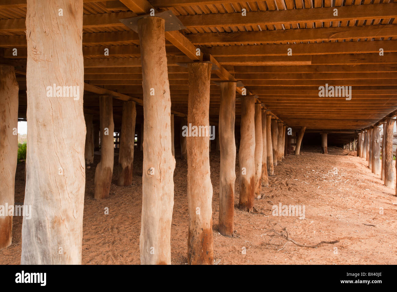 Sheep shearing shed australia hi-res stock photography and images - Alamy