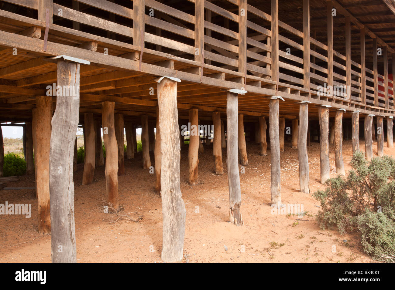 Red gum timber posts, Kinchega Shearing Shed, Kinchega National Park ...